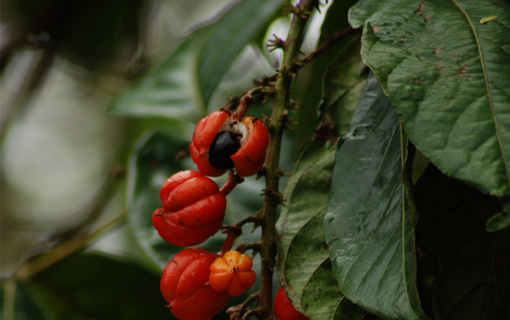 CNM - Confederação Nacional de Municípios | Comunicação